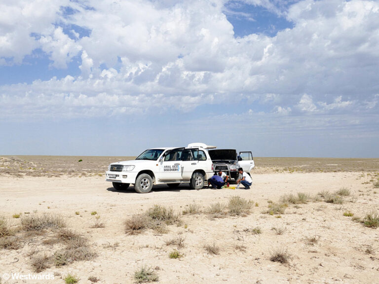 A trip to the shores of the Aral Sea - Westwards