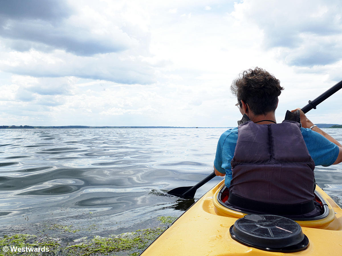 Kayaking on the river Peene - the German Amazonas - by Westwards