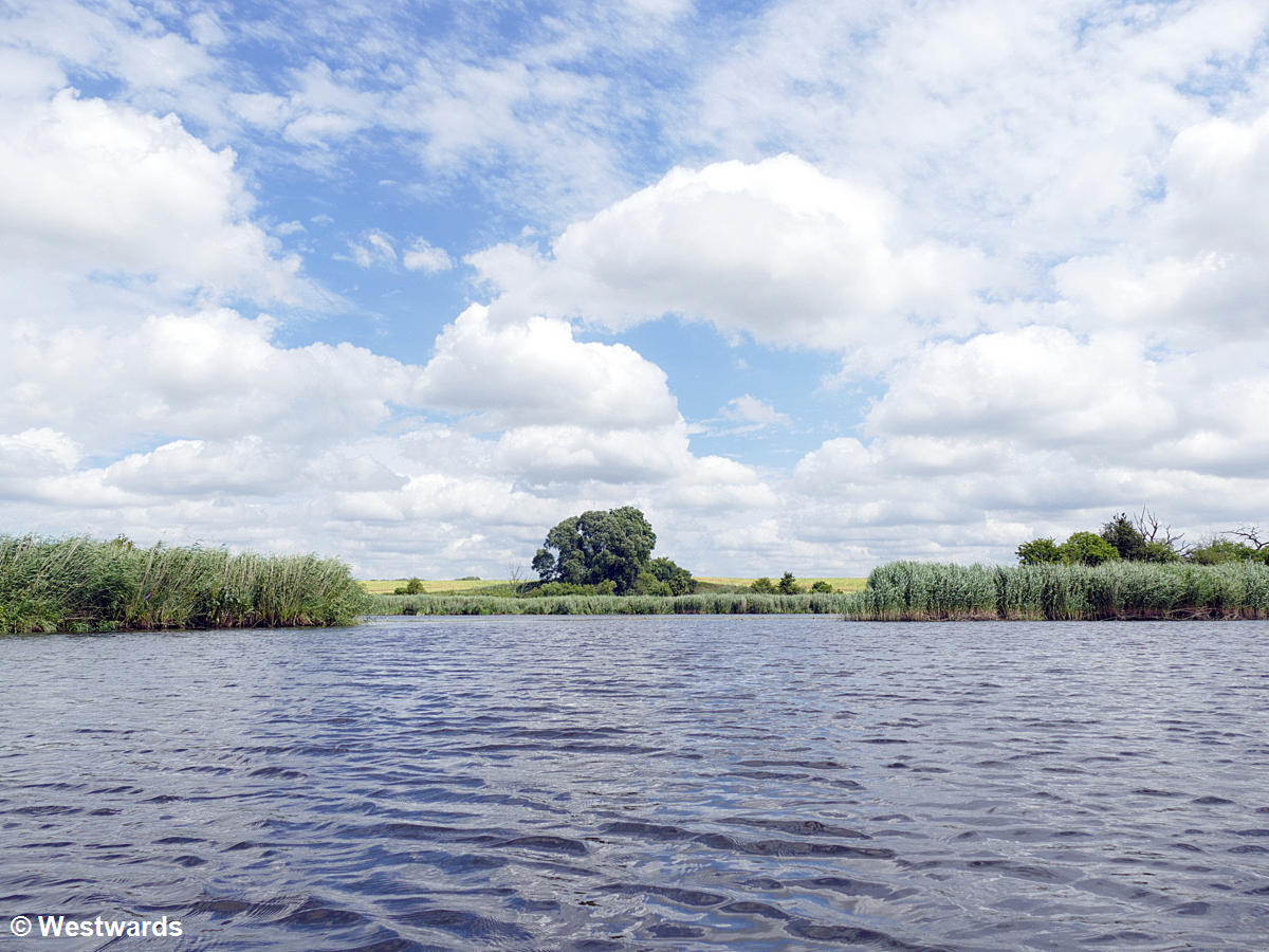 Kayaking on the river Peene - the German Amazonas - by Westwards