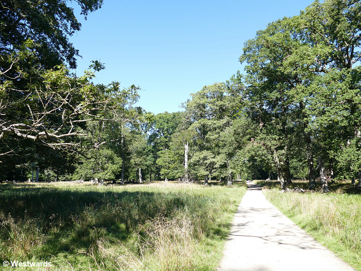 Jaegersborg Dyrehave - a unique hunting park in Denmark (UNESCO)