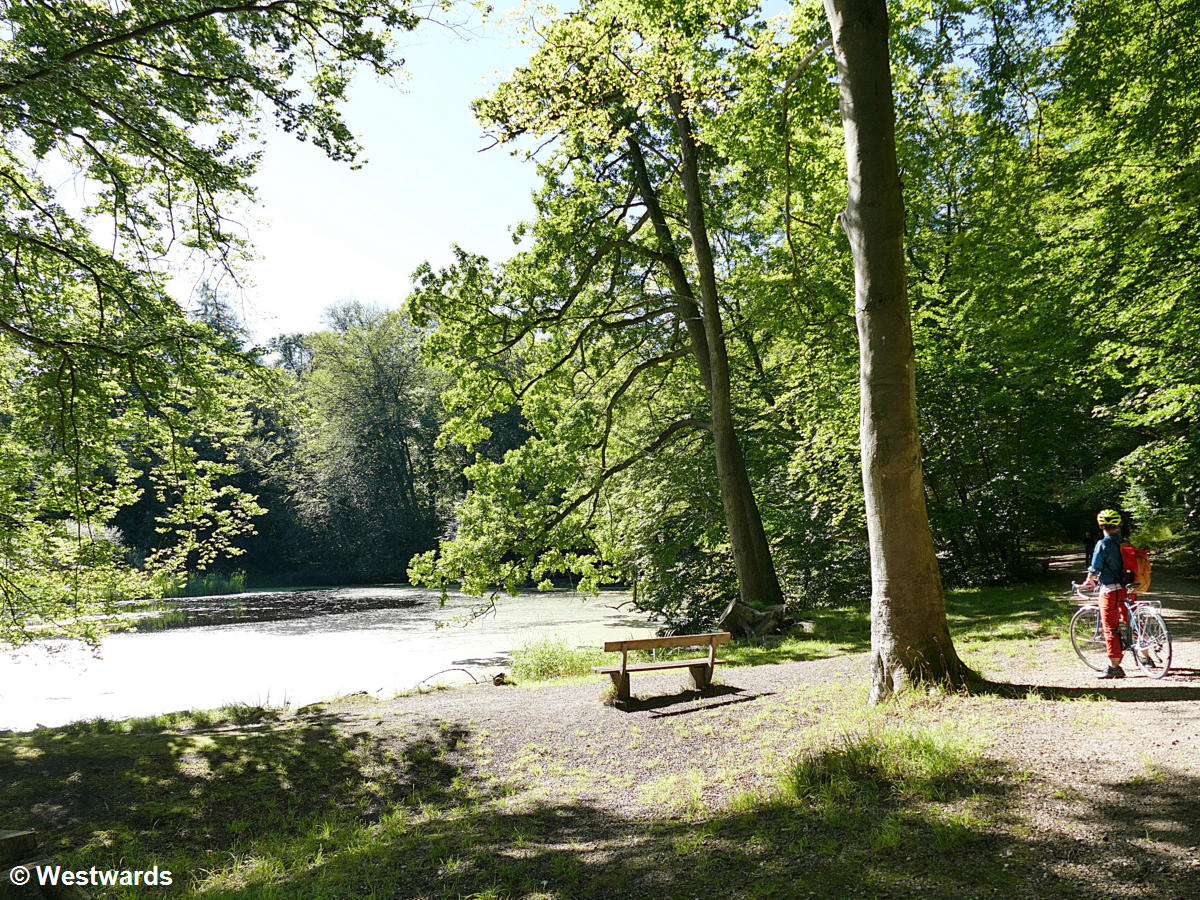 Jaegersborg Dyrehave - a unique hunting park in Denmark (UNESCO)