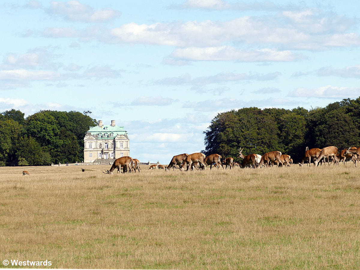 Jaegersborg Dyrehave - a unique hunting park in Denmark (UNESCO)