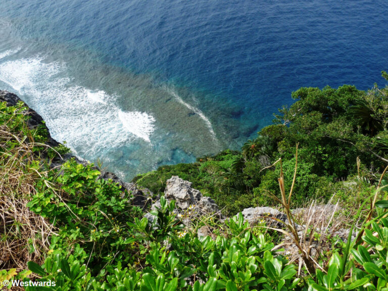 The Yanbaru Region in Northern Okinawa | UNESCO