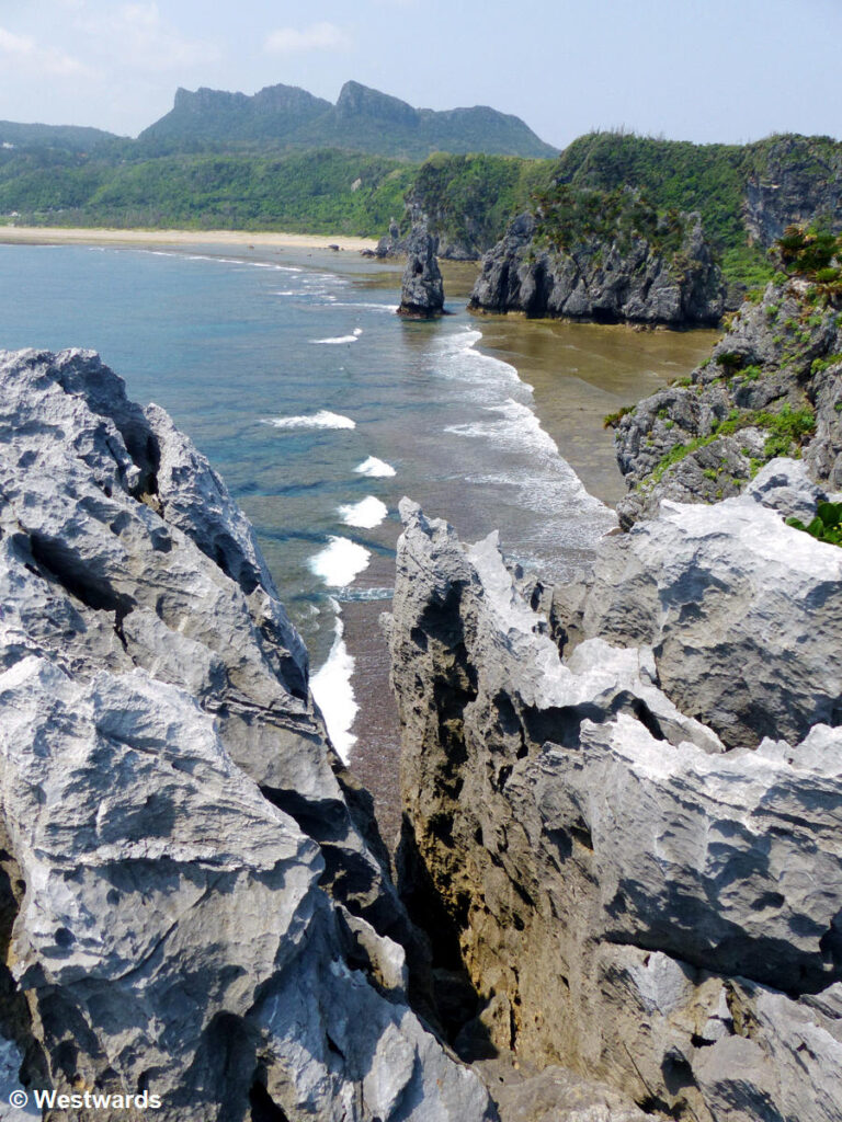 The Yanbaru Region in Northern Okinawa | UNESCO