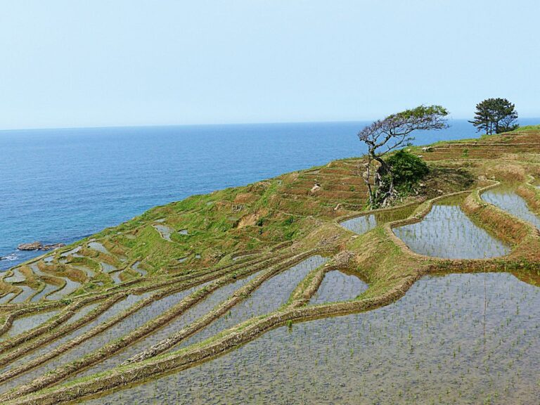 A trip to the remote Noto Peninsula – get off the beaten track in Japan