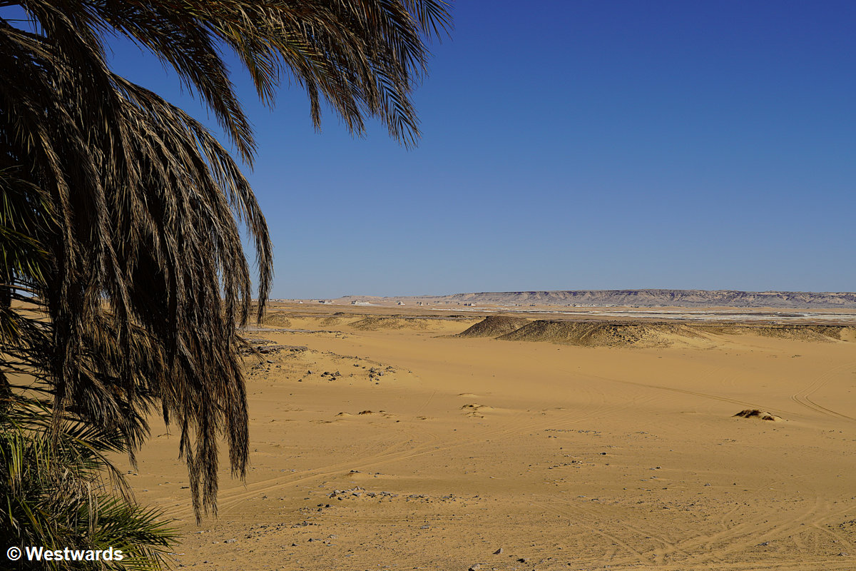 The Western Desert in Egypt – our 5-day adventure - Westwards